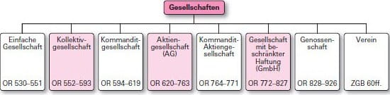 Die acht Gesellschaftsformen nach Schweizer Recht | Kalaidos FH
